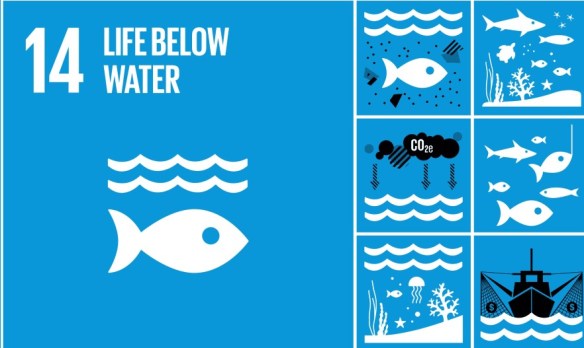 Life Below Water | Vegan Place